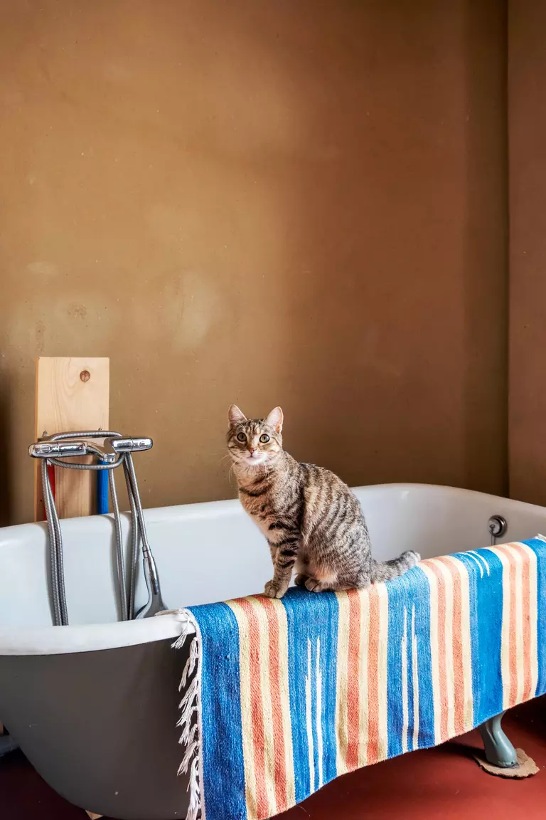 References | BC materials